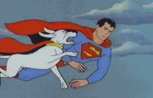 SNEAK PEEK: "Batman v Superman: Dawn Of Justice" : 'Krypto' Unleashed