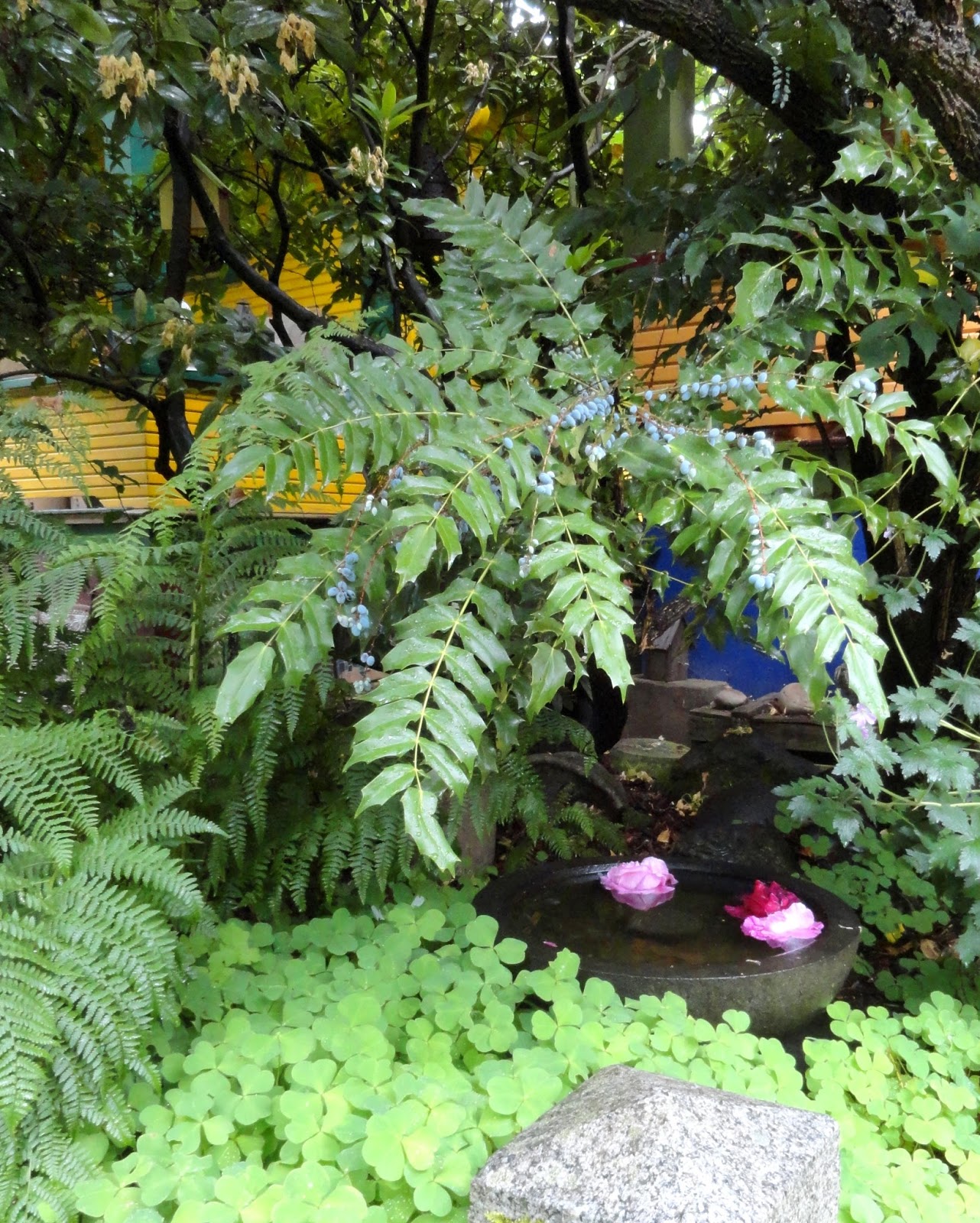 danger garden: The Garden of Jeffrey Bale