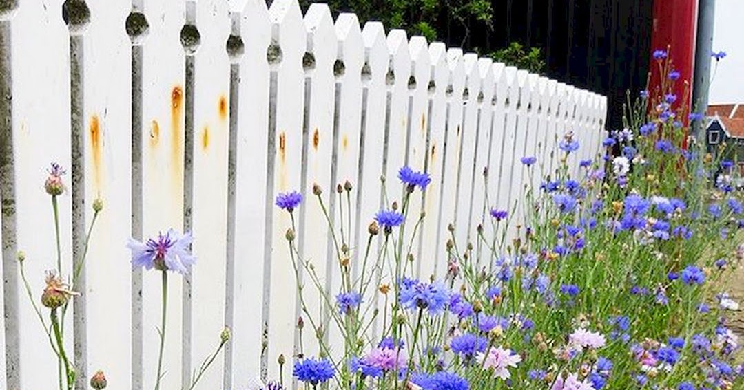 Two Men and a Little Farm: FENCE FLOWERS INSPIRATION THURSDAY