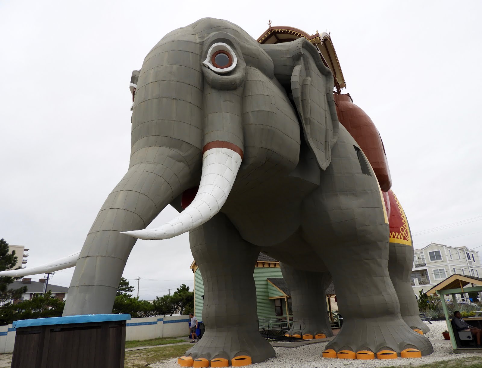 It's All About Purple: Lucy The Elephant