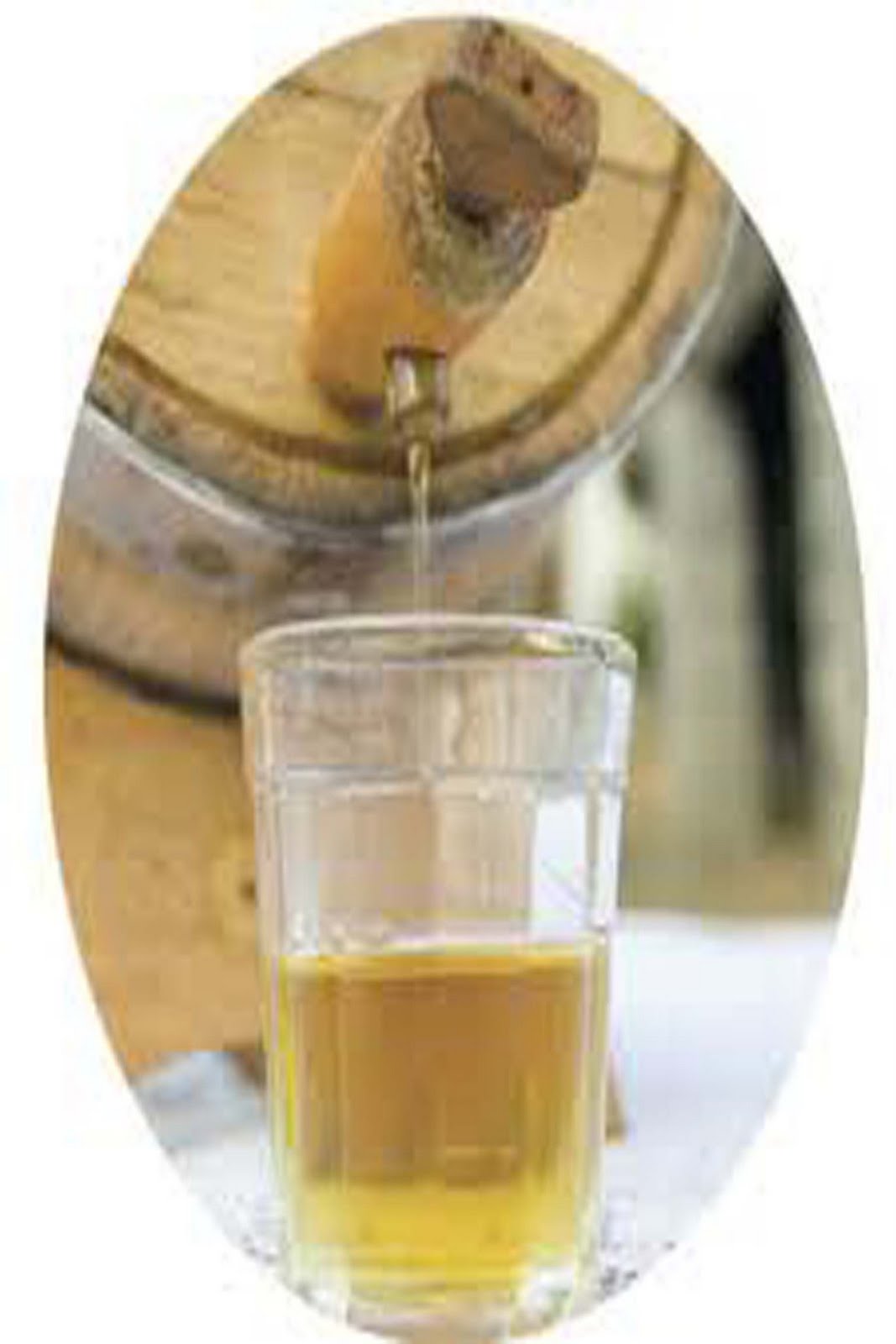 La Cachaza o Cachaca en portugués, origen, destilación, tipos de ...