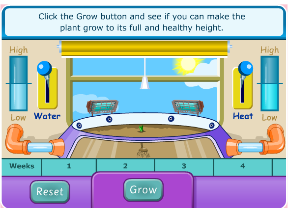 Teacher Nuria: How plants grow. Game