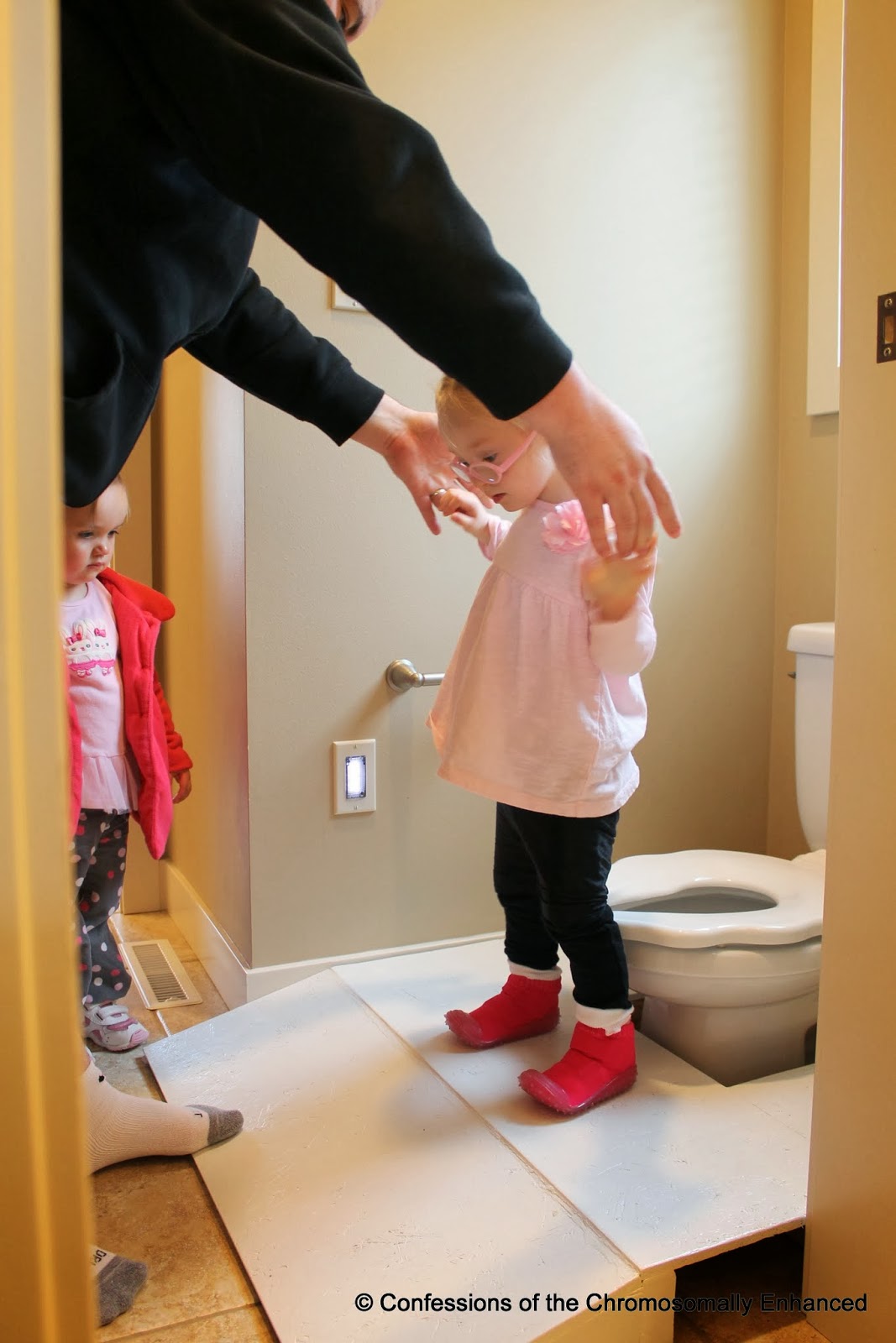 Confessions of the Chromosomally Enhanced: Potty Training Game Changer