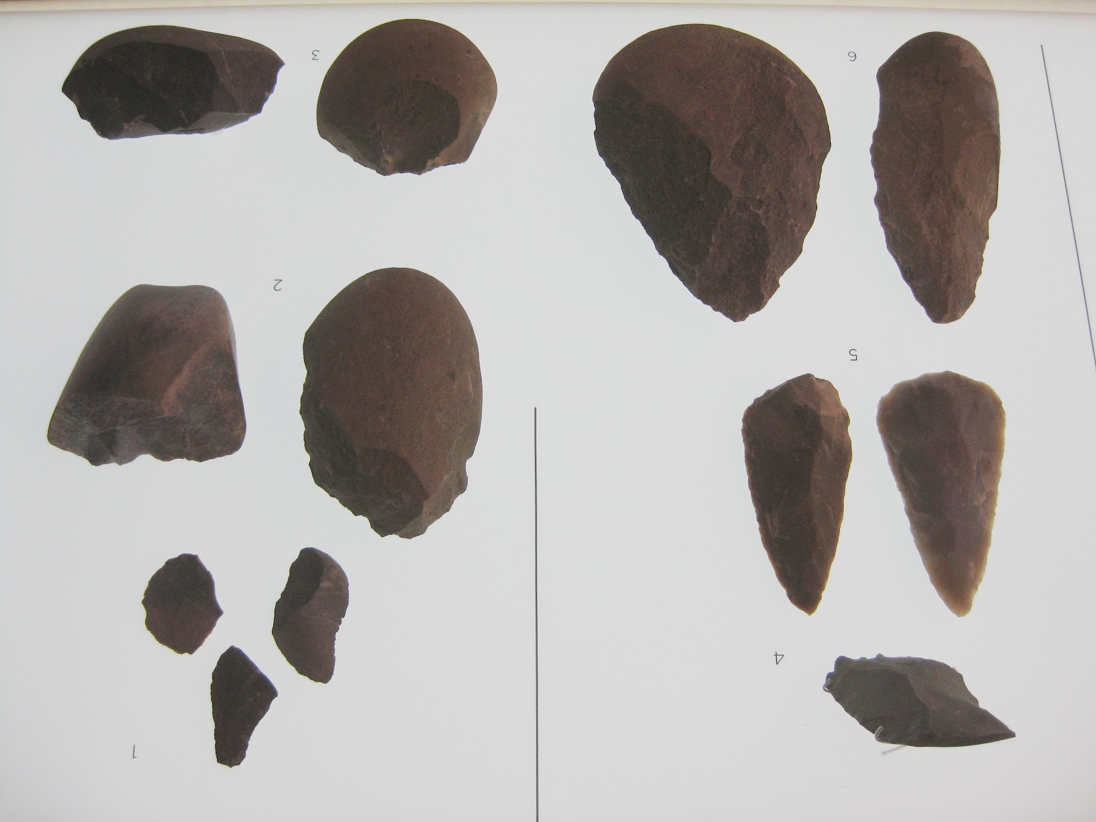 A SOLAS CON CLIO: El trabajo de los prehistoriadores: El museo de la ...