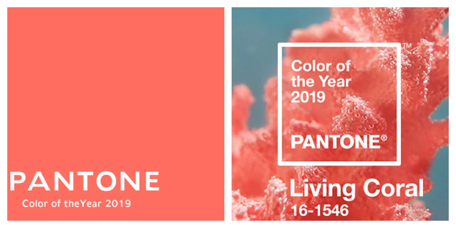 Living Coral - Pantone Colour Of The Year 2019 - Threadbare Creations