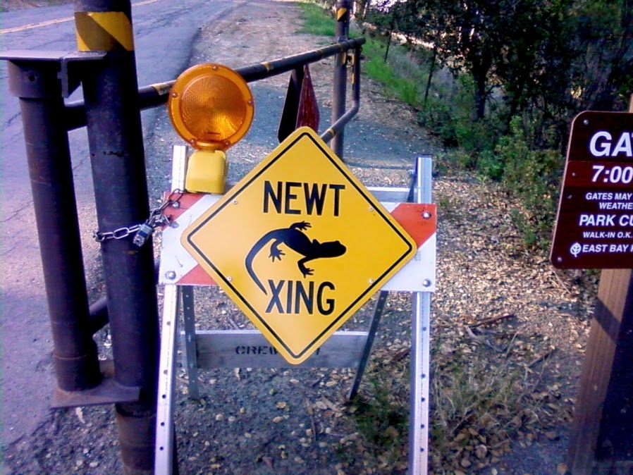 Crowndot.com : Afternoon run in the hills