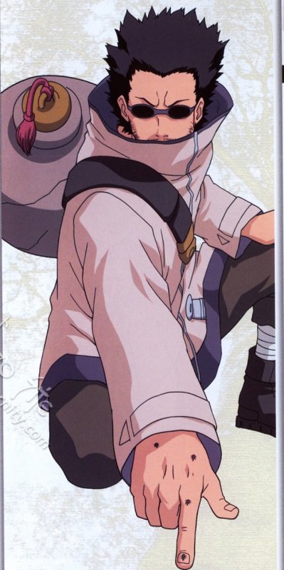 sasukealdyuzumaki: profil aburame shibi