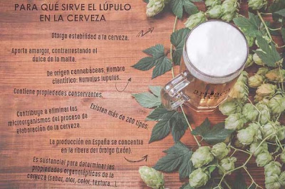 Lúpulo en la cerveza: de dónde viene y qué tipología utilizamos
