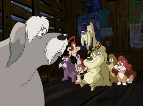 Suola Kuupielessä: Nine Dog Christmas