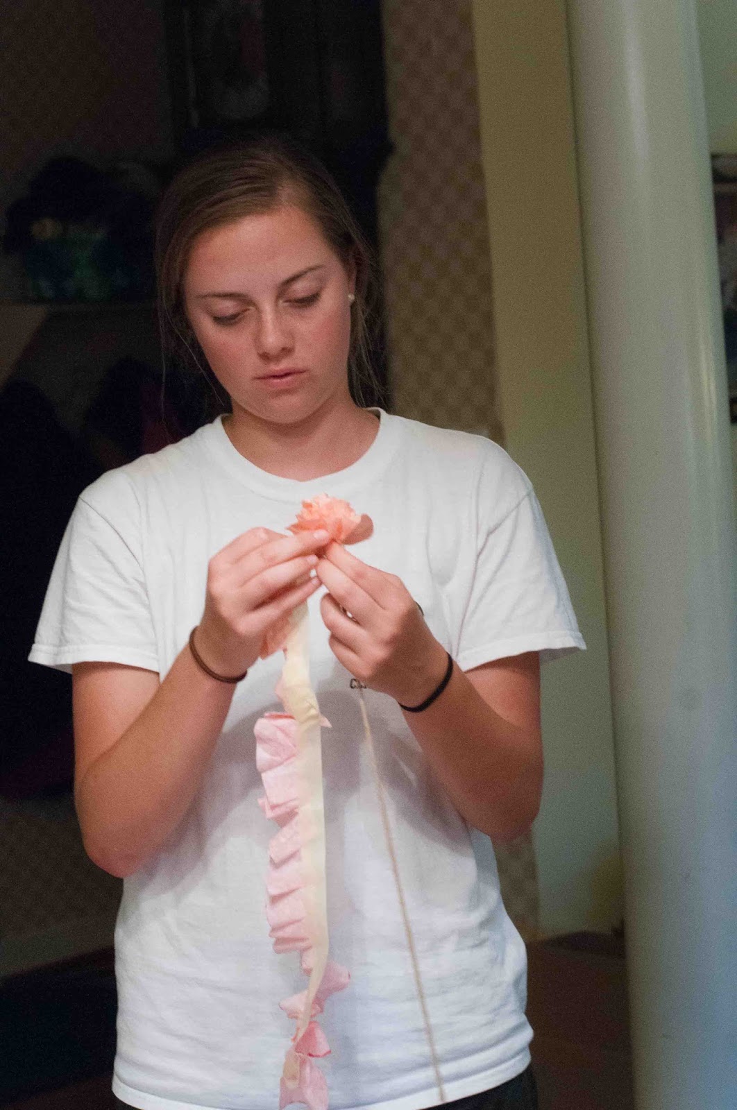Plays With Needles Paper Roses