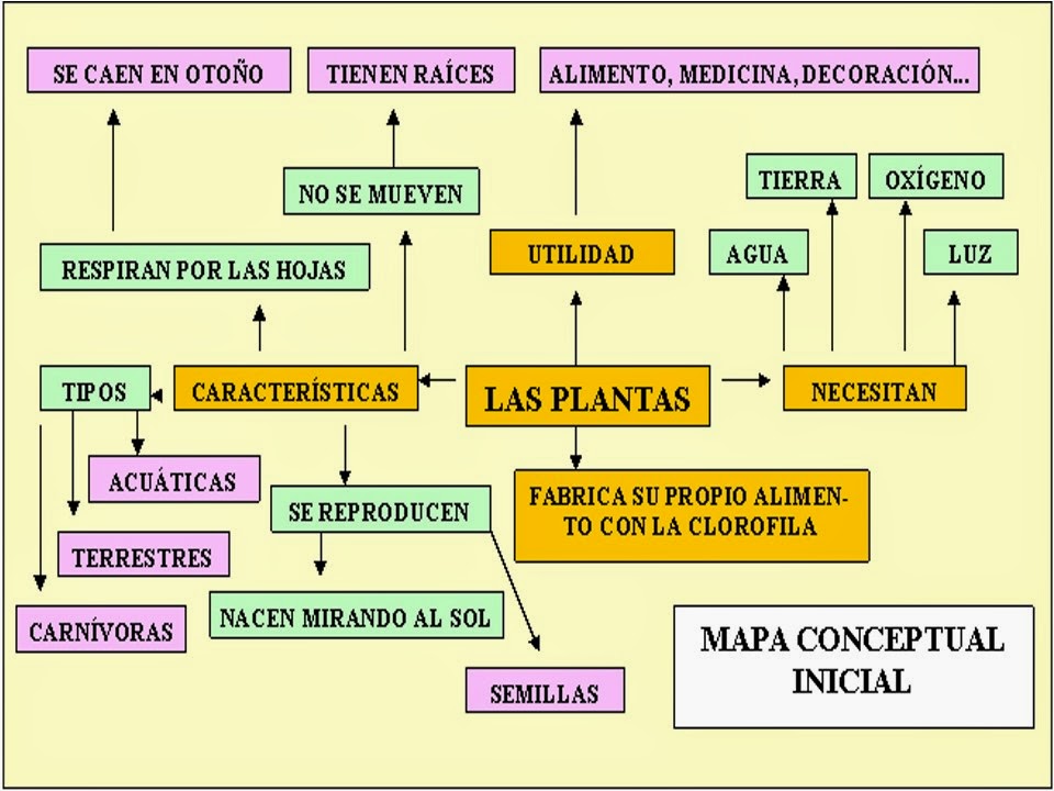 INTEGRACIÓN DE ÁREAS - 4° 1: CIENCIAS NATURALES