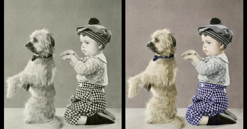 How to Restore Color to a Black and White Photo Using PhotoPad | Do ...