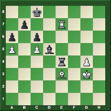 Chess Skills: The Drawn Game