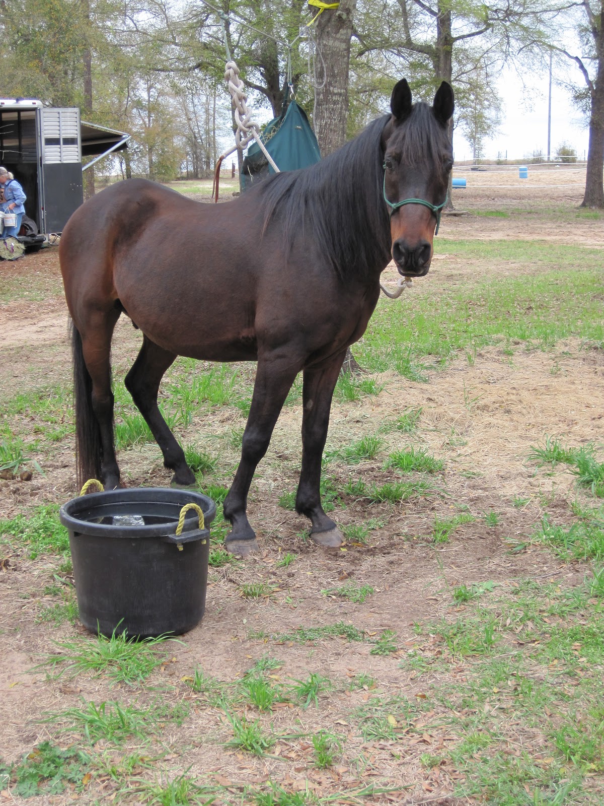 Lazy G Ranch: NATRC Competitive Trail Ride