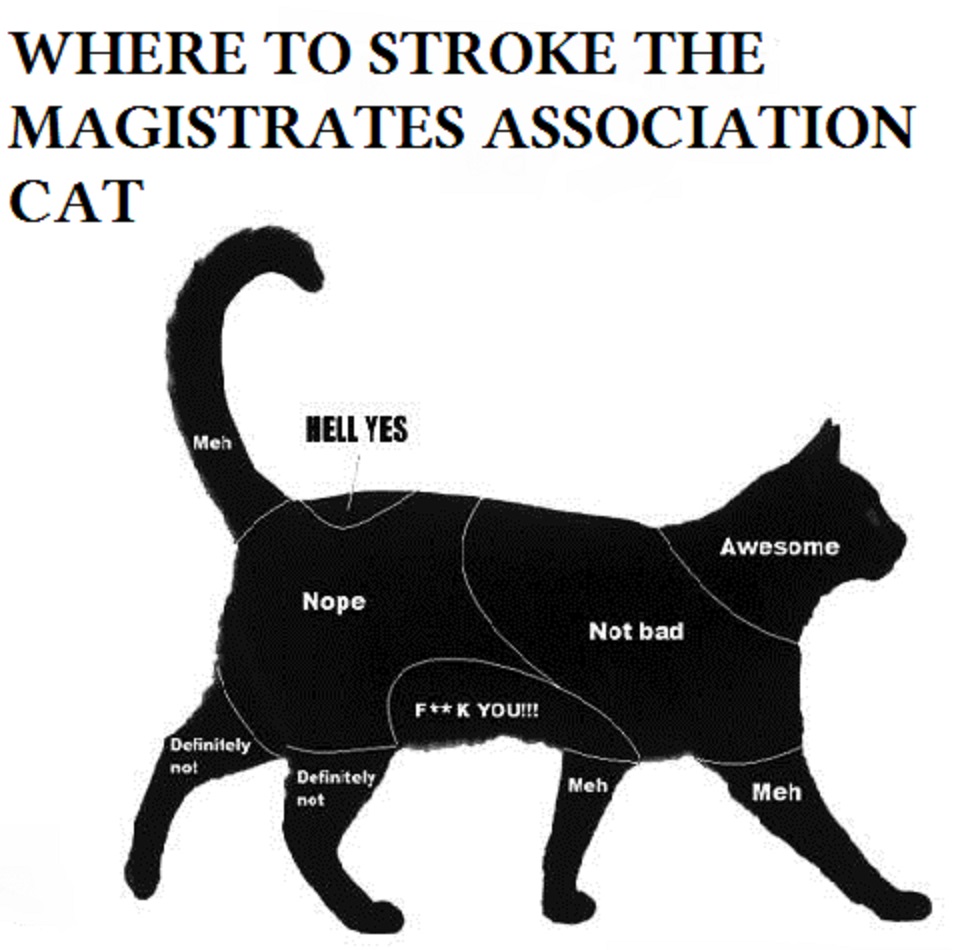 The Justice of the Peace Blog: PLUS SA CHANGE OR HOW TO PET THE MA CAT