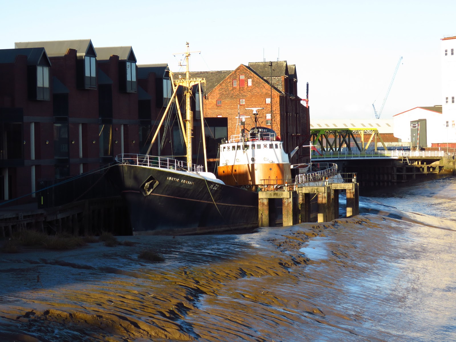 Wild at Hull: Up the River Hull. 1. The Deep to Air Street