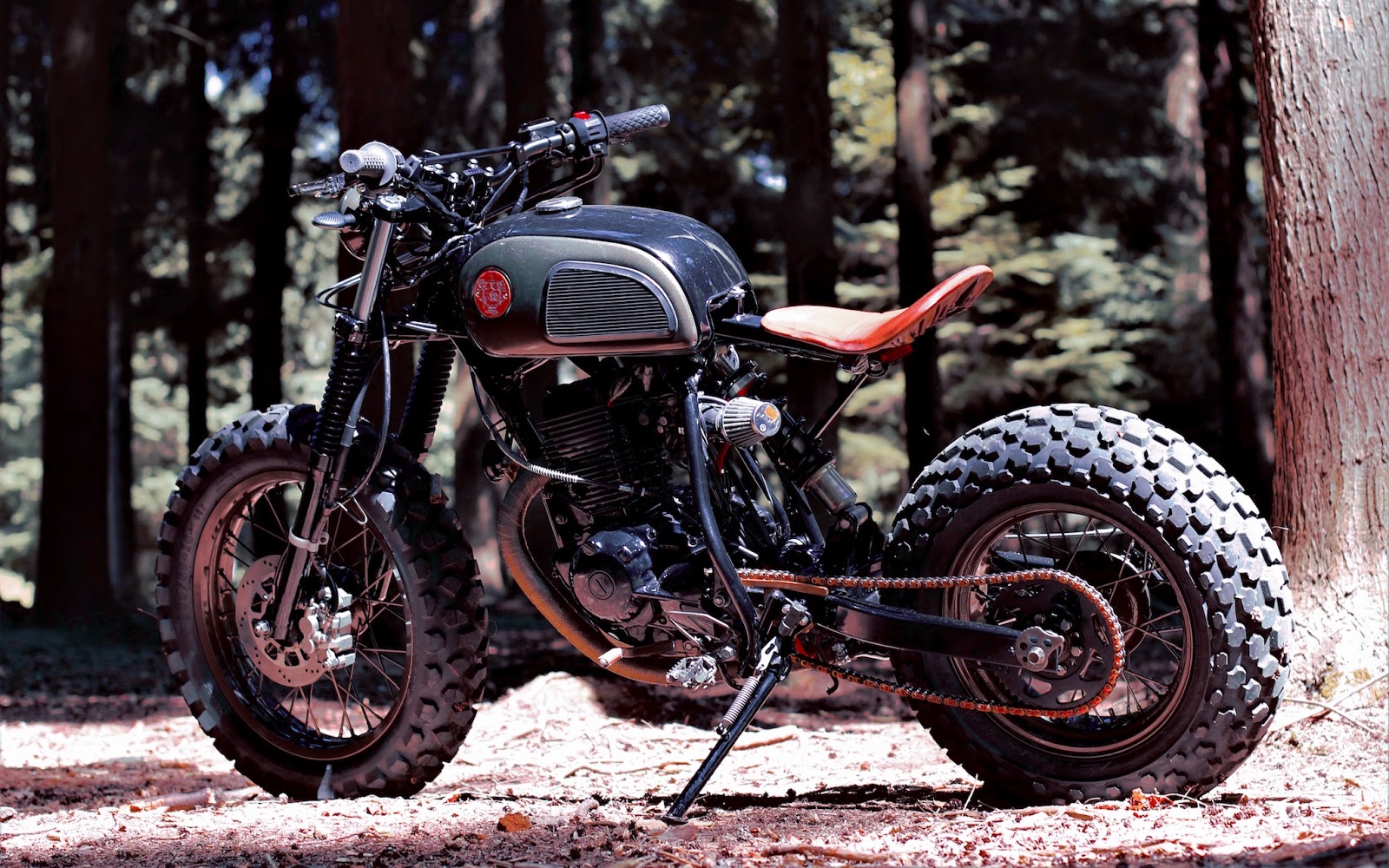 The Bear - Inazuma café racer