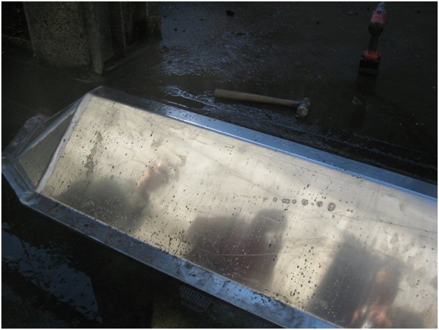 The Dish on Fish: Lamprey Ladder Tours