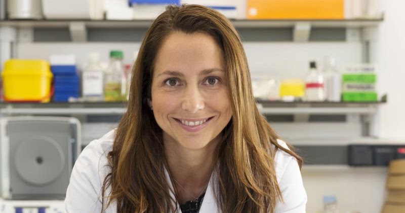 Noticias de Salud: Un Biobanco “viviente” de modelos de cáncer de mama ...