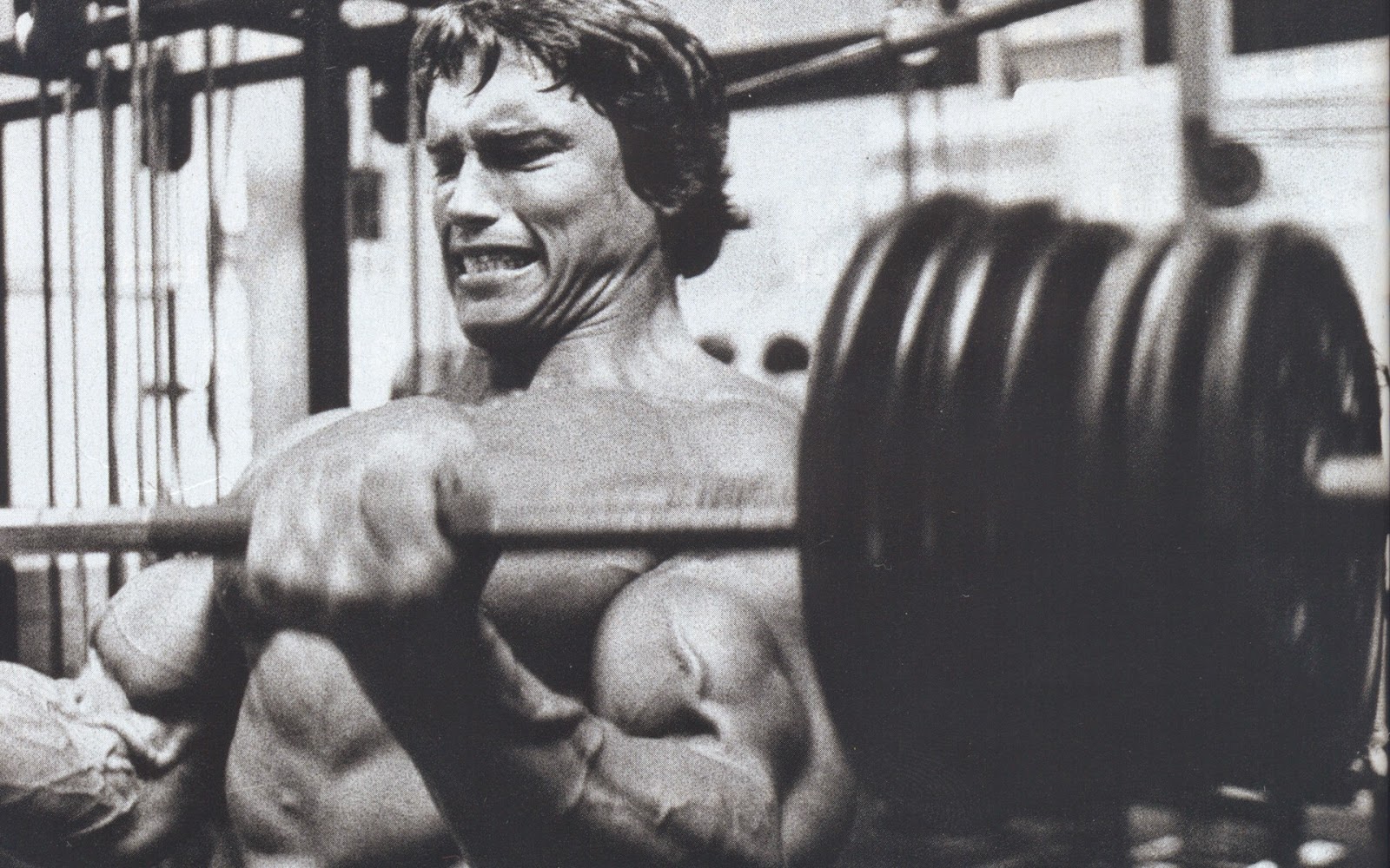 Fitness latino: TRABAJO AVANZADO DE ARNOLD SCHWARZENEGGER PARA SUS ...