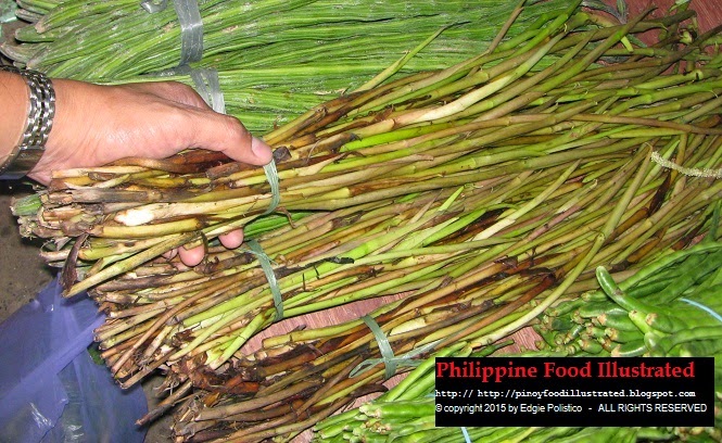 Takway Benefits, Description, And Side Effects Sustainable, 40% OFF