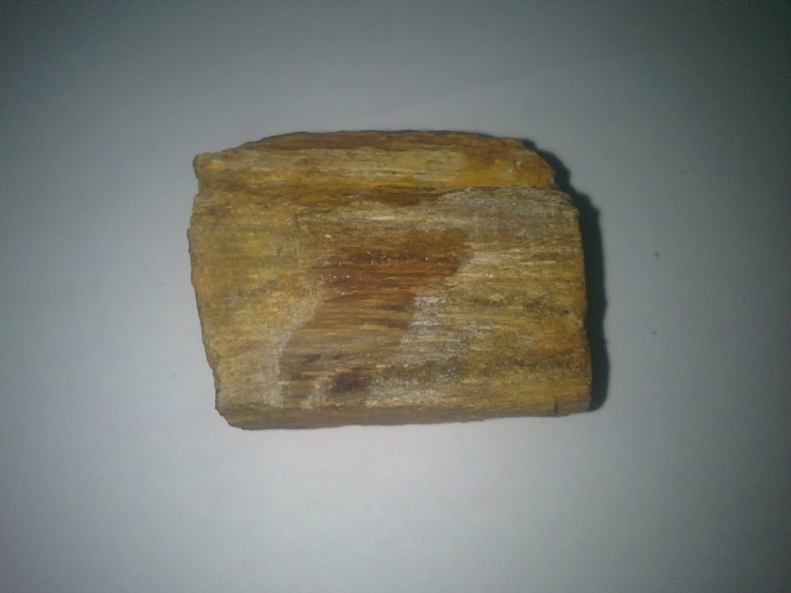 Koleksi Barang Lama/Cincin/Batu Cincin: Fossil kayu