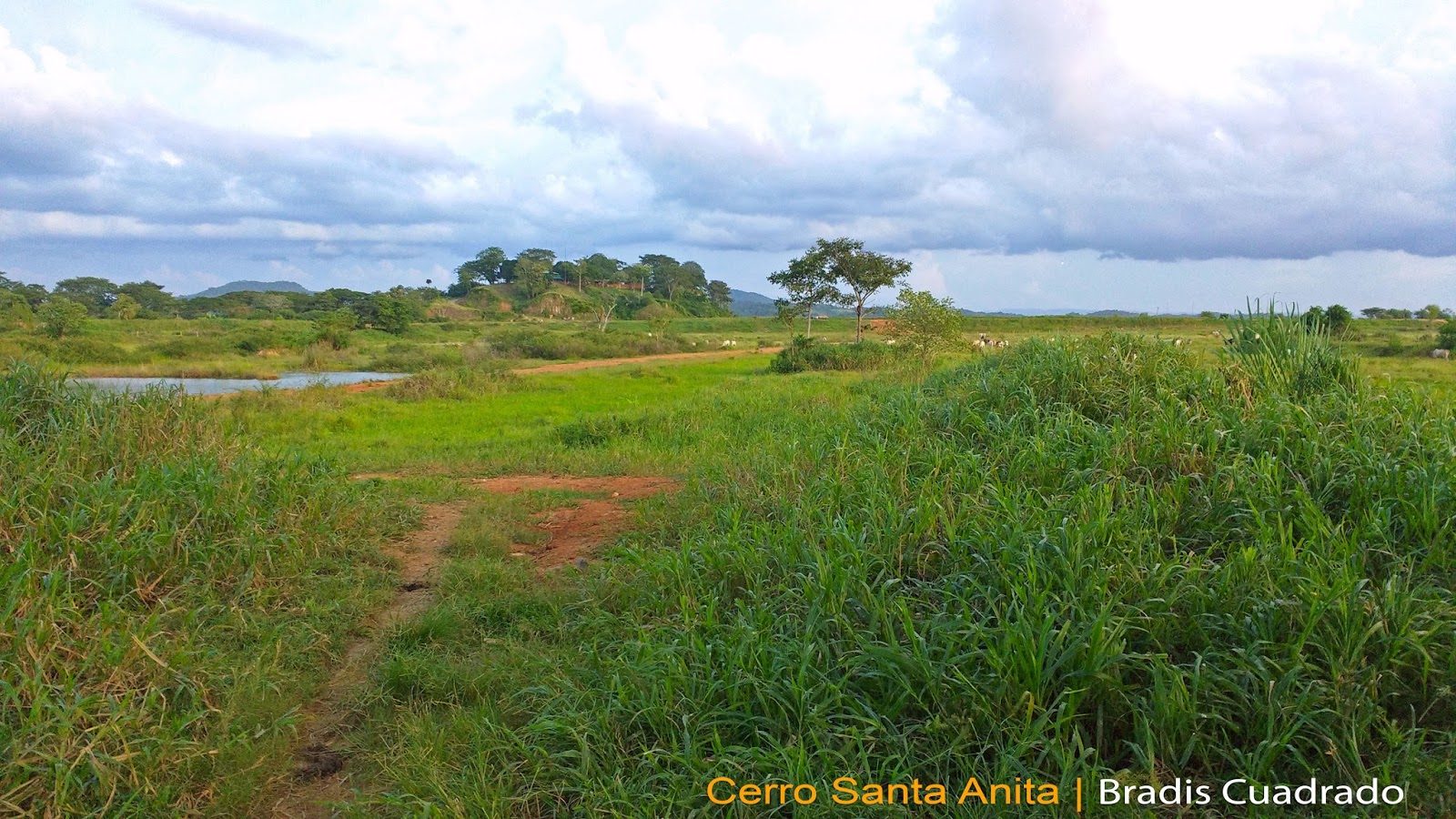 Nechí, Verdad sin Límites: El olvido del pueblo de Bermúdez