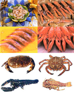 Ciencias Culinarias: LOS MARISCOS
