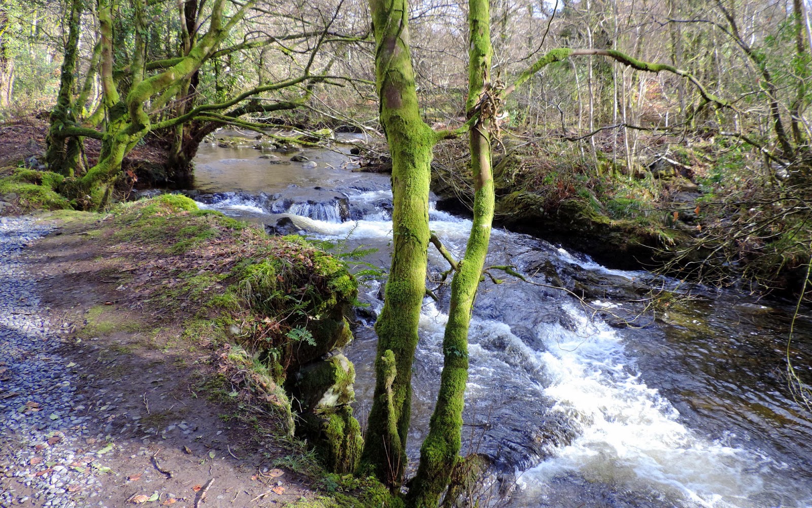 The Glebe Blog: 02/2014