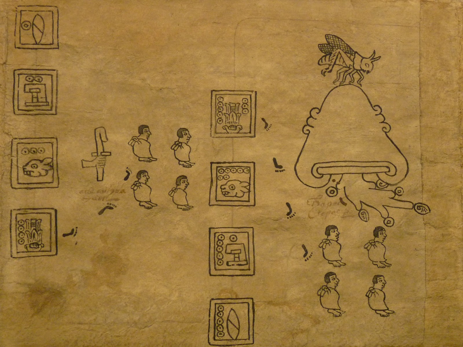 Literatura II: Tipos de codices