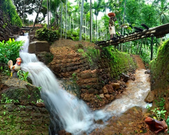 Travels-Freedom with Nature: Botanical Garden of Goa