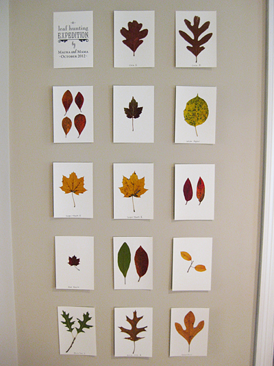 DIY Pressed Leaf Art