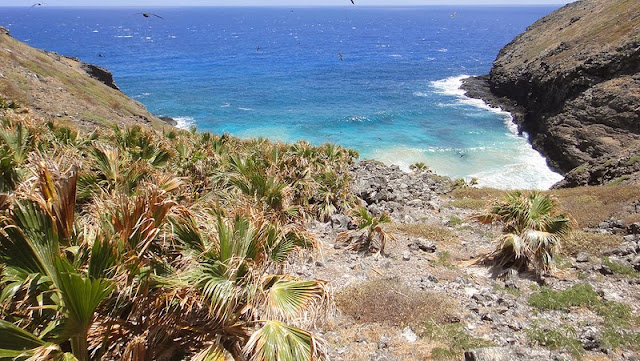 Nihoa Island, Hawaii - Travel Guide