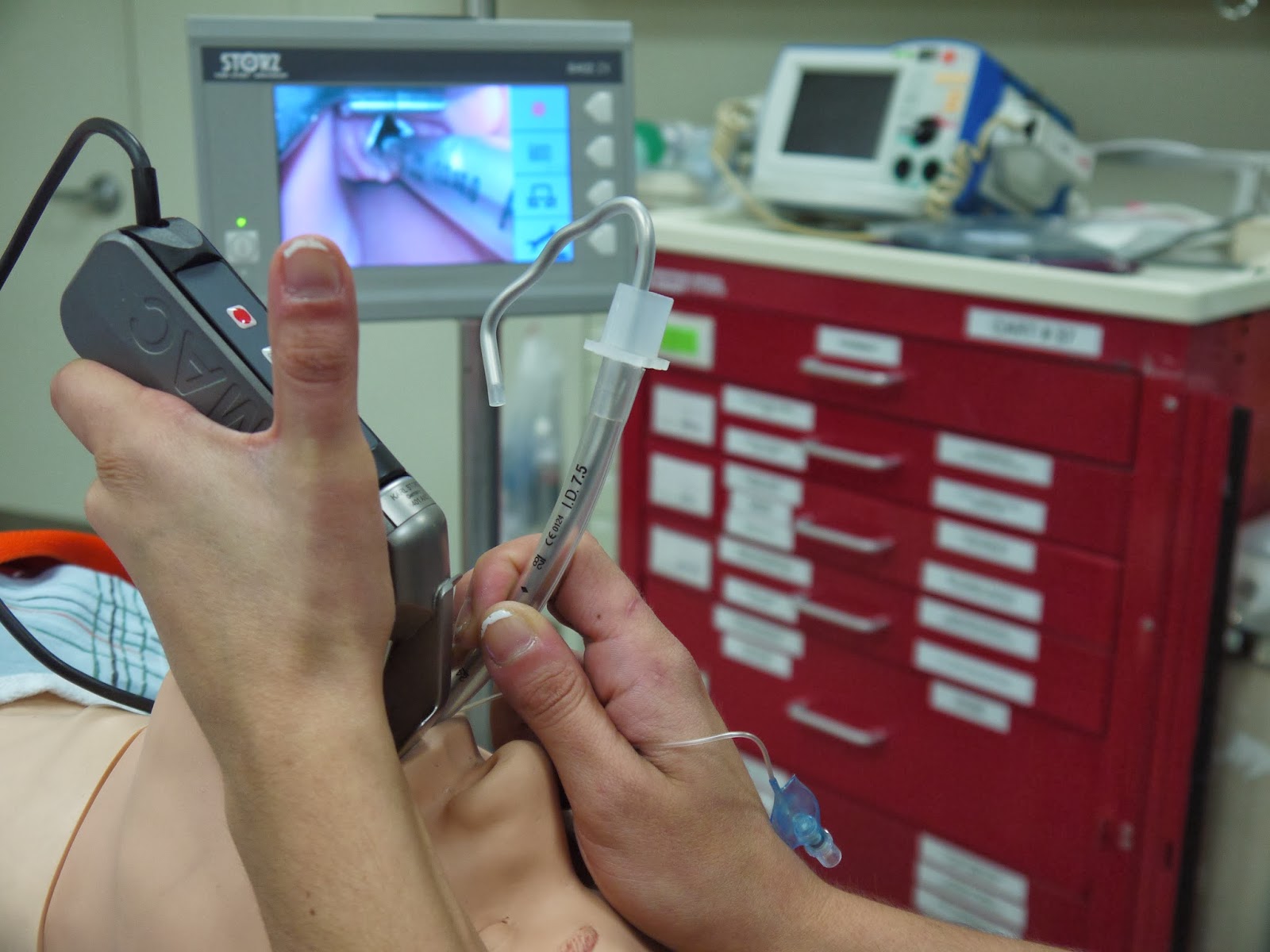 New Emergency Nurse Information Blog: Resuscitation Part 1: Airway