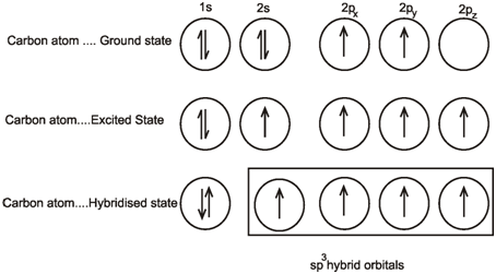 Types of Hybridisation │Chemistry Desk
