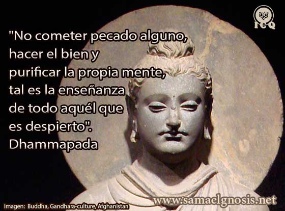 EL SABIO DESPISTADO Y EL ESPIRITUAL INCOMPRENDIDO: FRASE DHAMMAPADS