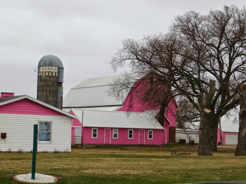 Grandma Barbs This and That: Really? A Pink Barn