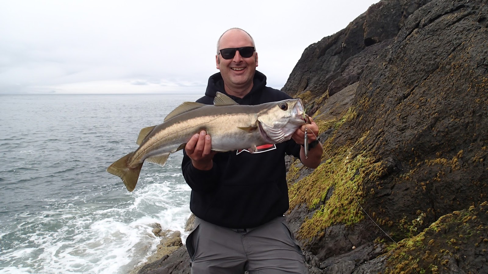 Lure and Light Game: Shore Pollock