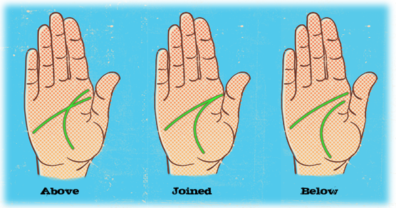 What Your Heart Line Says About Your Life, Relationship & Love life ...