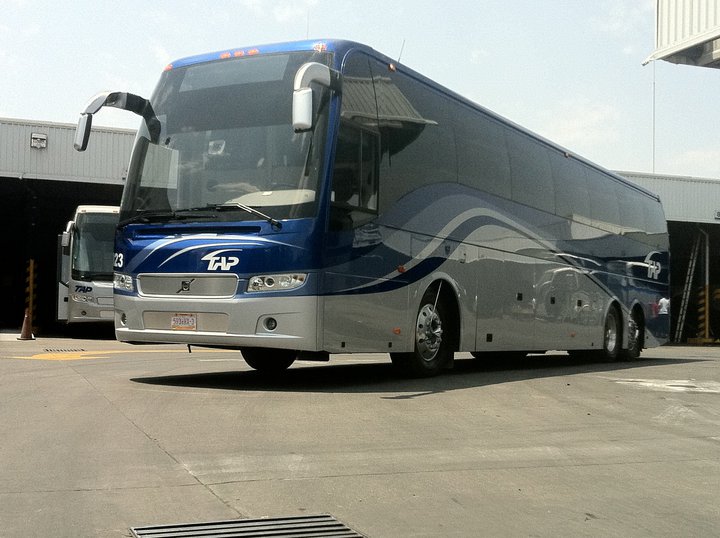 Transportes Publicos: Nuevos Autobuses TAP