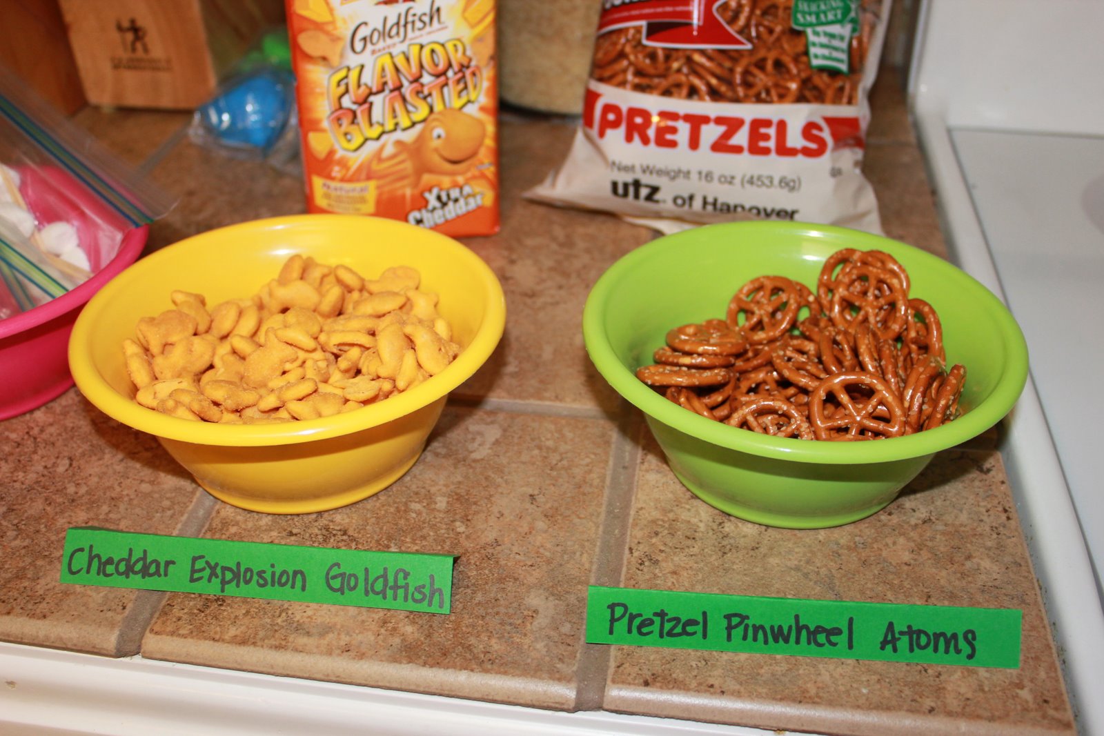 THE MUDDY PRINCESS: Science Birthday Party