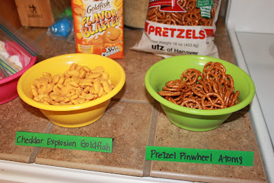 THE MUDDY PRINCESS: Science Birthday Party