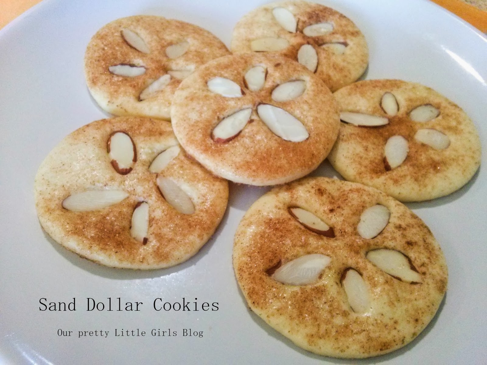 Sand Dollar Cookies | Our Pretty Little Girls