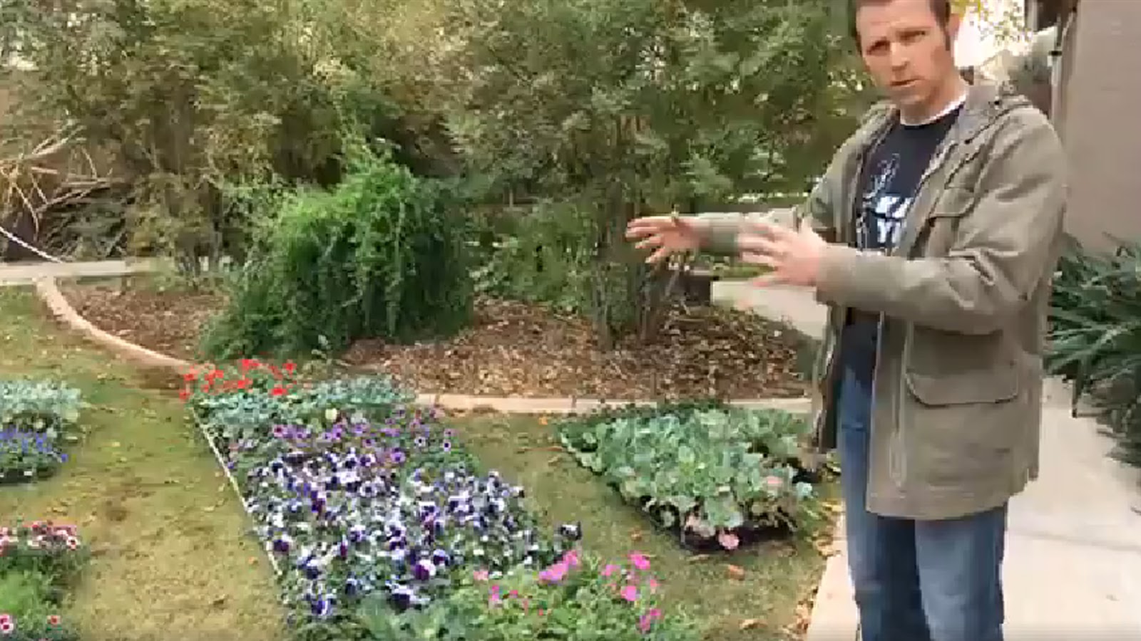 Edible Herbs, Flowers & Other Edibles - Grow Your Own Dinner ...