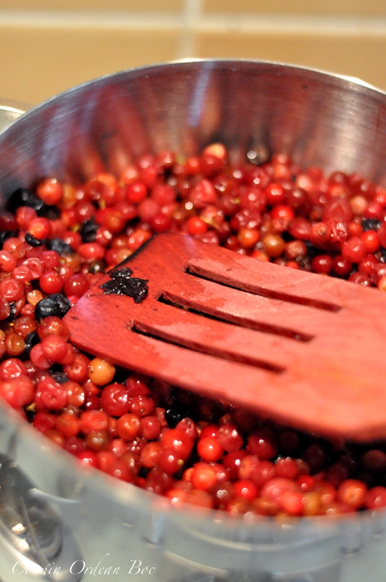 simplu si bun: Preiselbeere Konfitüre...sau gem de merisoare