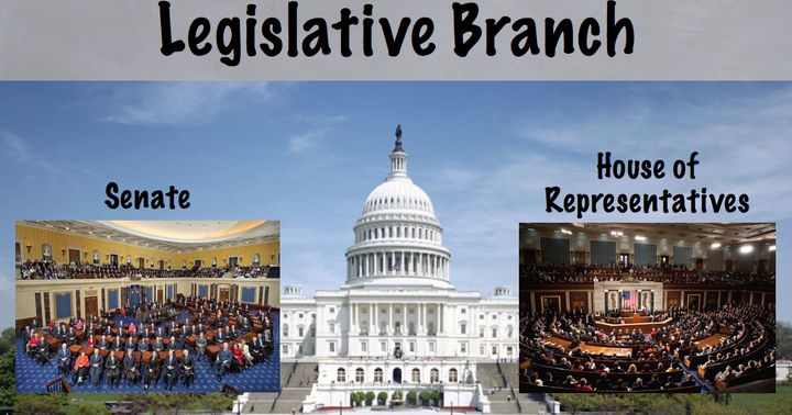 Mr. Ramirez's History Blog: Article I: US Constitution: Legislative Branch