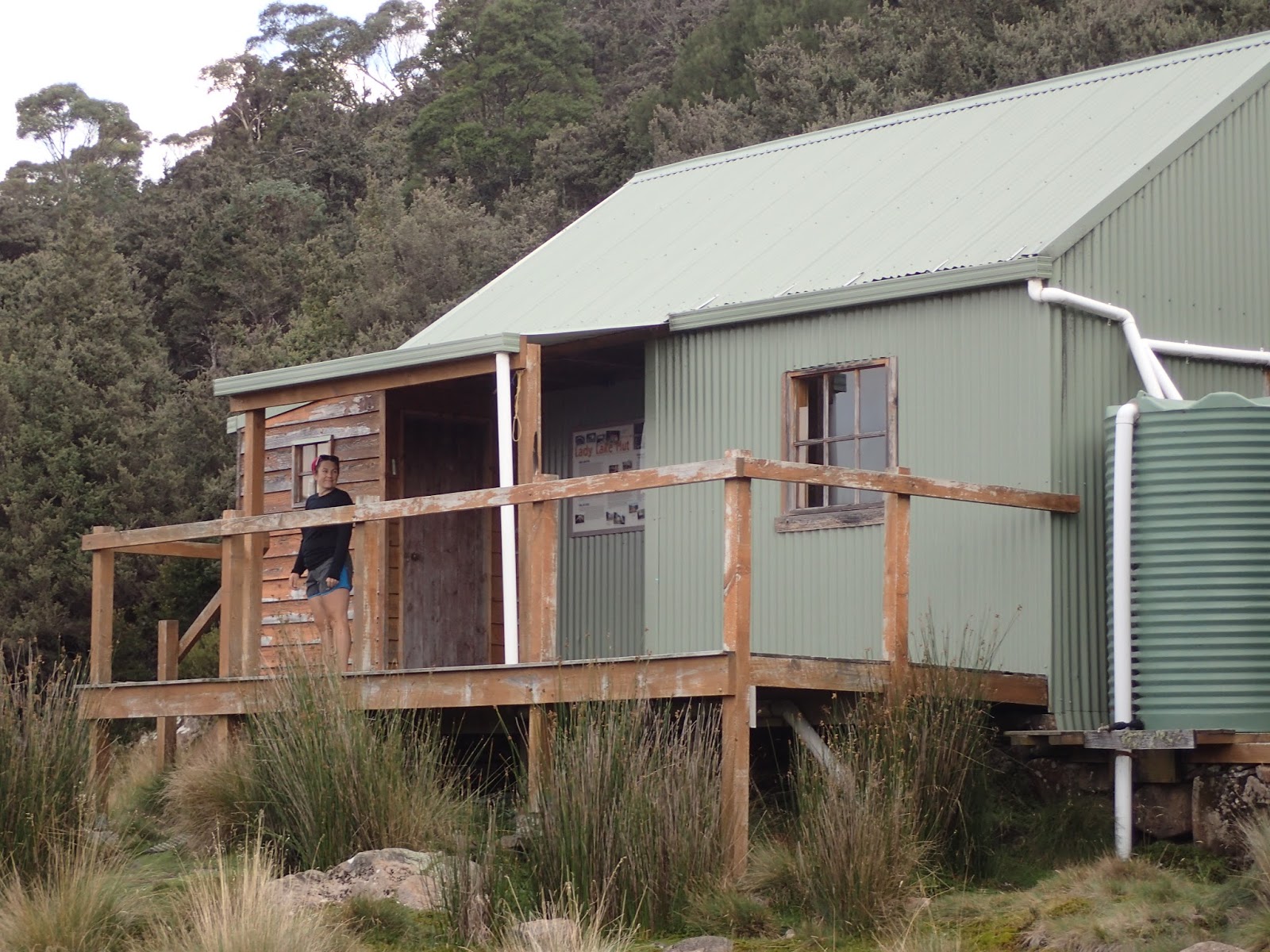 Safarihiker.: Higgs Track to Lady Lake, Central Plateau- Tasmania.