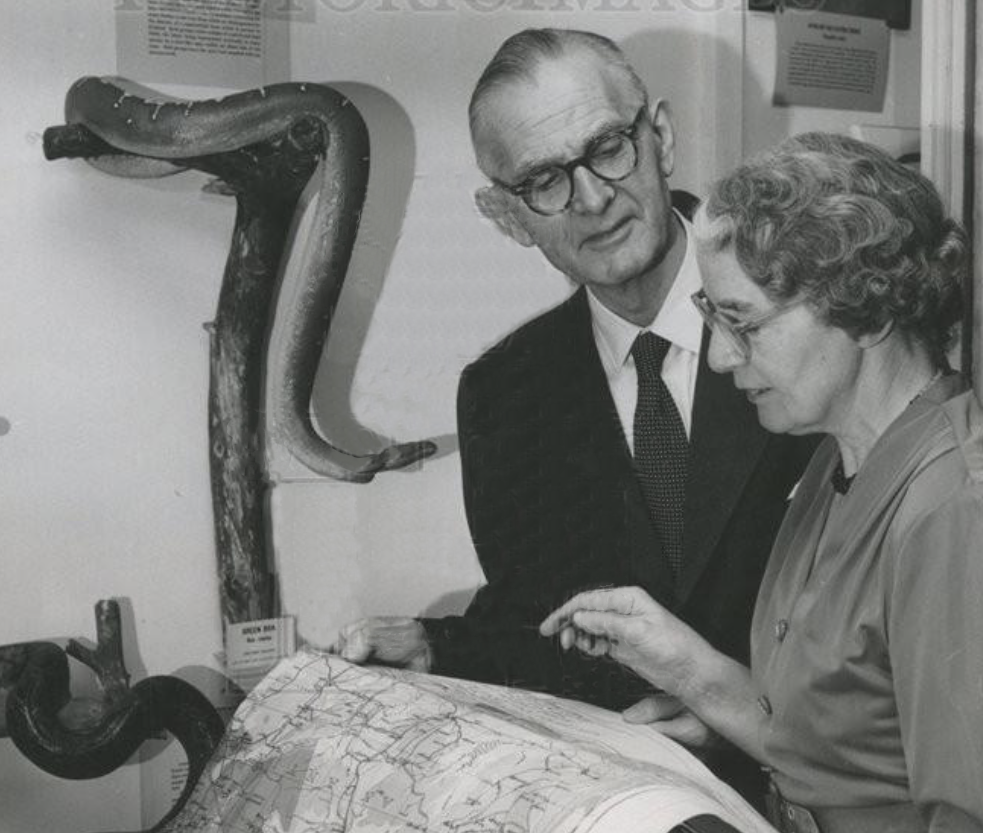 Zoology Jottings: Joan Procter, Arthur Loveridge and the Pancake ...