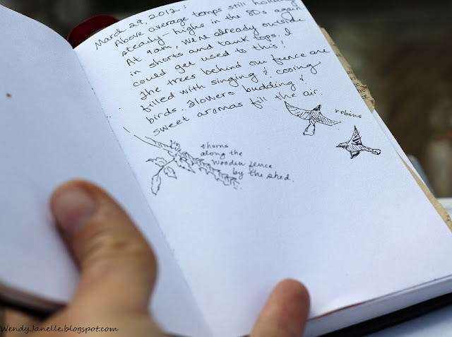 Living Creatively: Nature Notebooking