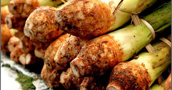 Mengenal Jenis-Jenis Talas - Rumah Petani